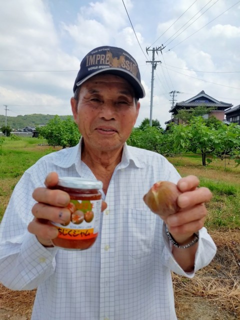 善通寺・仲多度 お宝ディスカバリー|お宝ファイルNO.44 羽間イチジク|AuDee（オーディー） | 音声コンテンツプラットフォーム